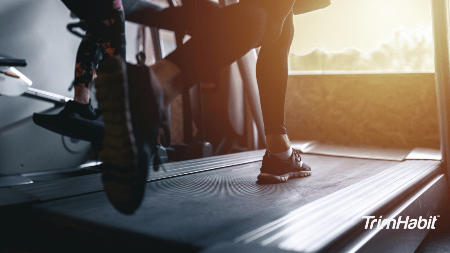 Stairmaster vs Treadmill For Weight Loss: 5 Comparisons - TrimHabit ...
